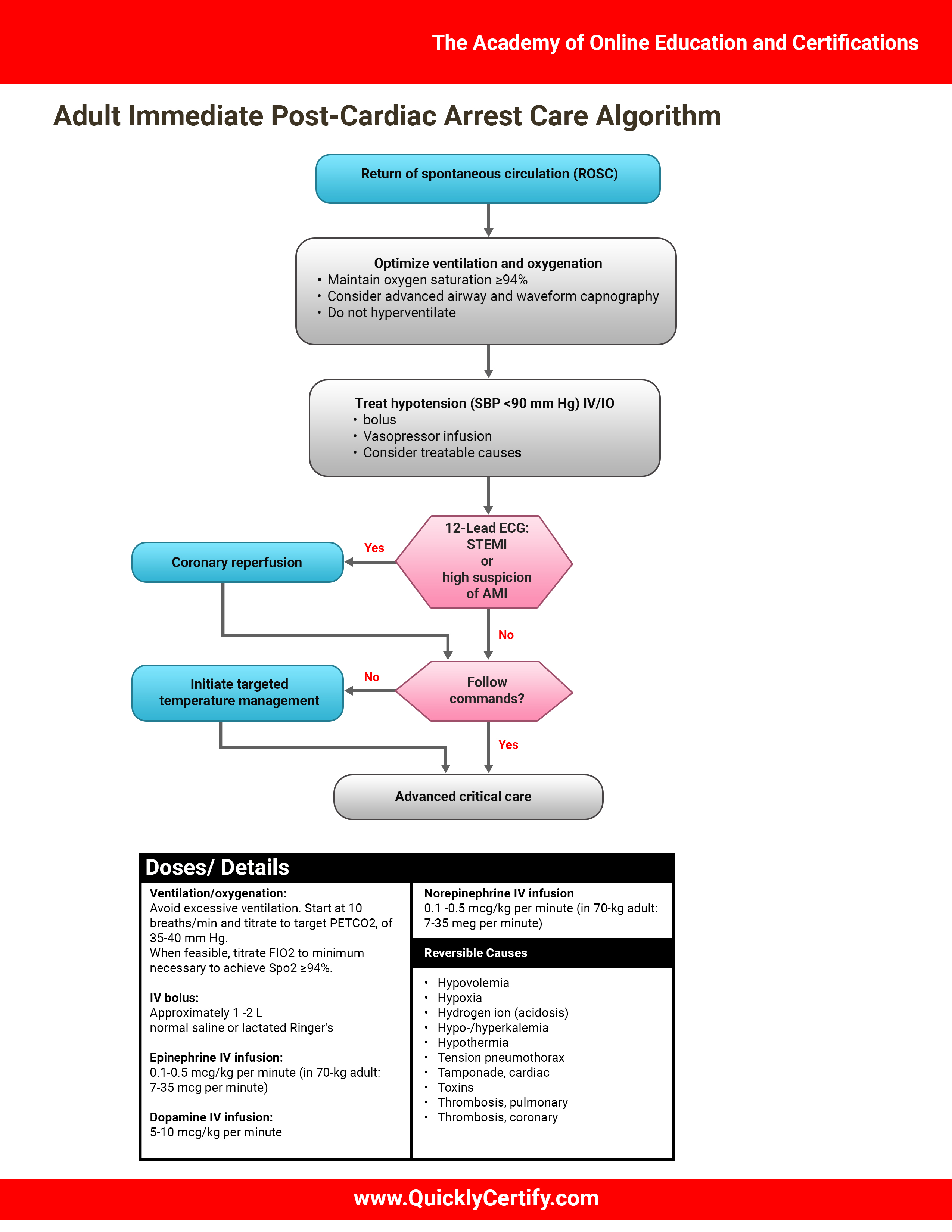 Acls Bradycardia Algorithm Acls Advanced Cardiac Life - vrogue.co Acls Bradycardia Algorithm Acls Advanced Cardiac Life - vrogue.co